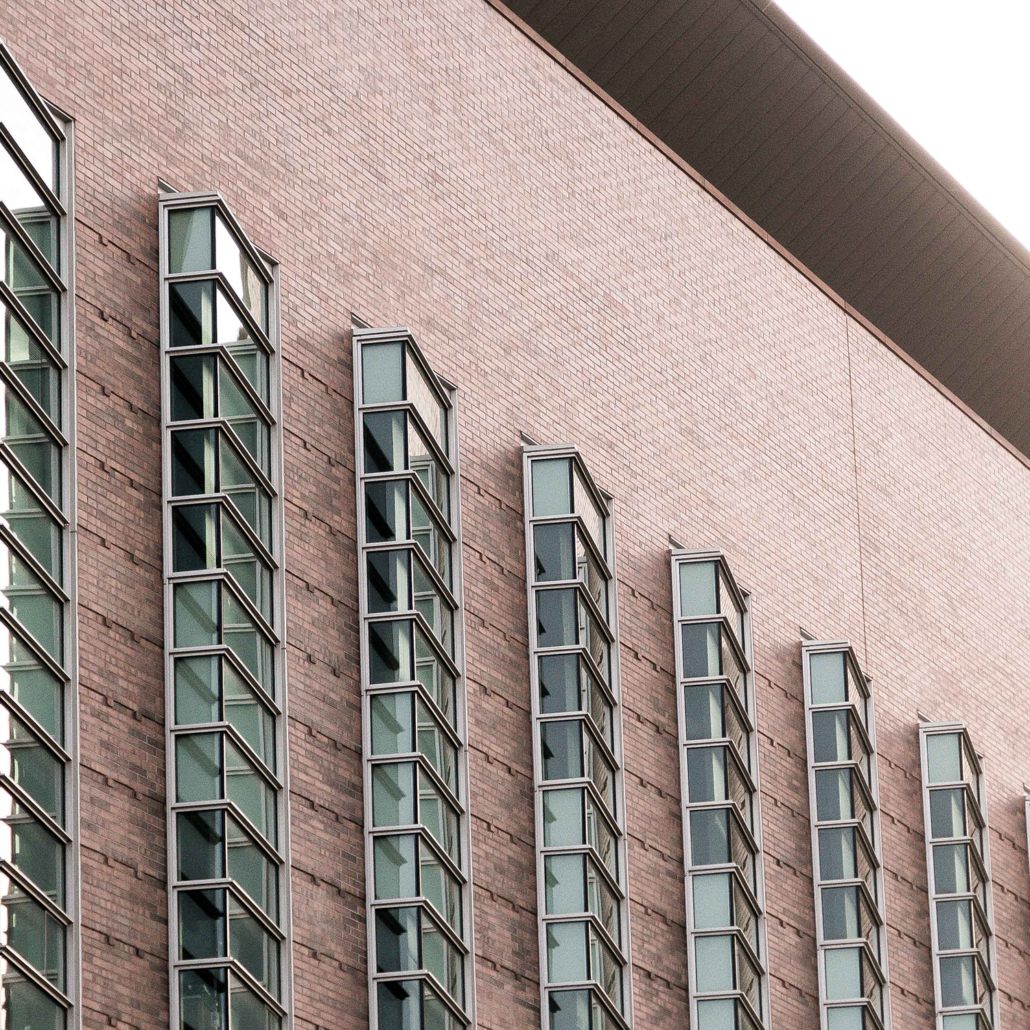 Our Services - Build Momentum